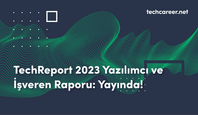 TechReport 2023 Yazılımcı ve İşveren Raporu